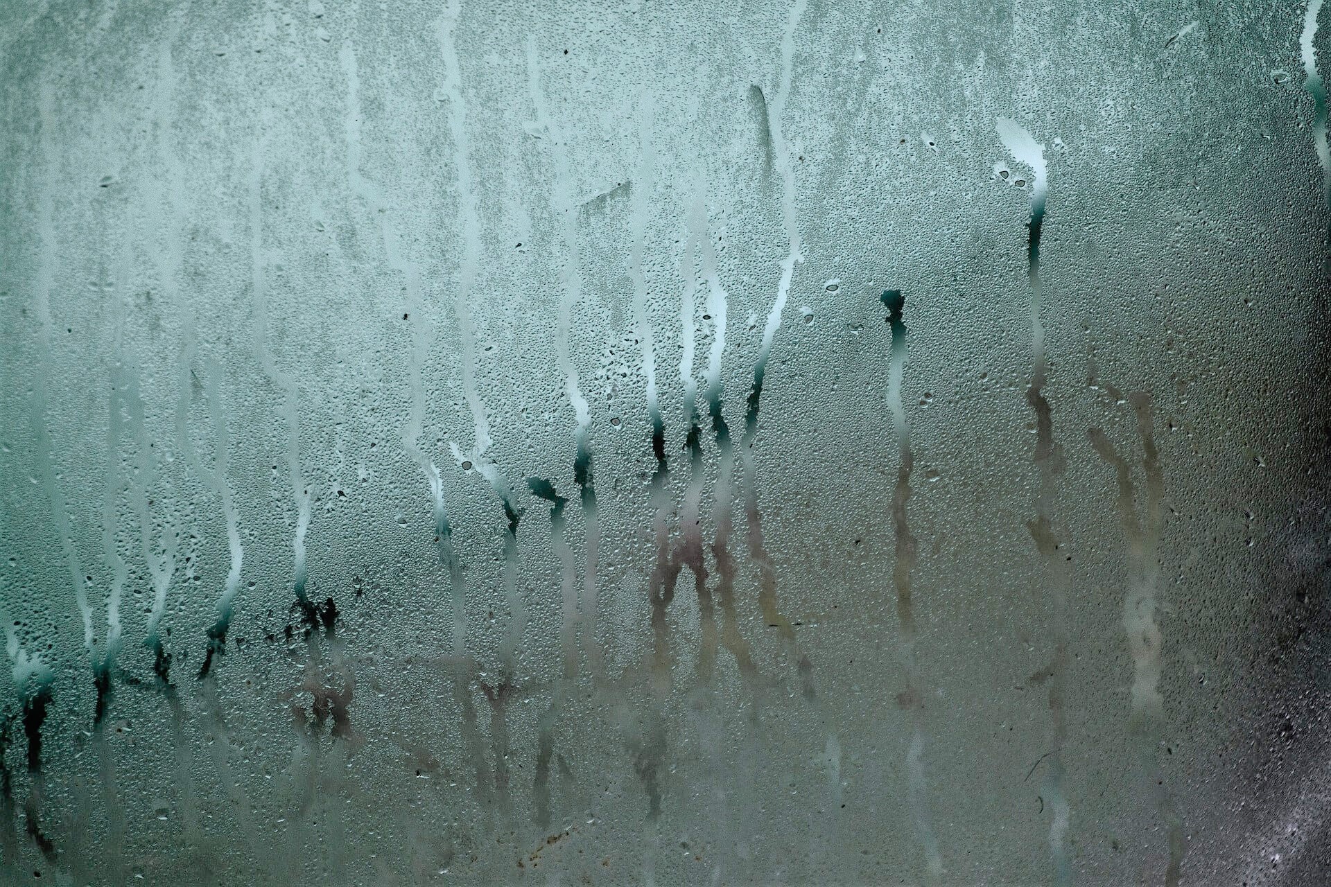 Tackling mould, damp and condensation | Salix Homes