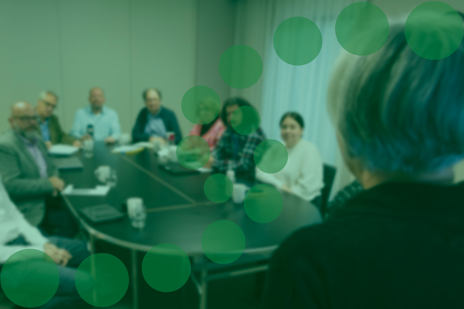 How we are governed | Salix Homes