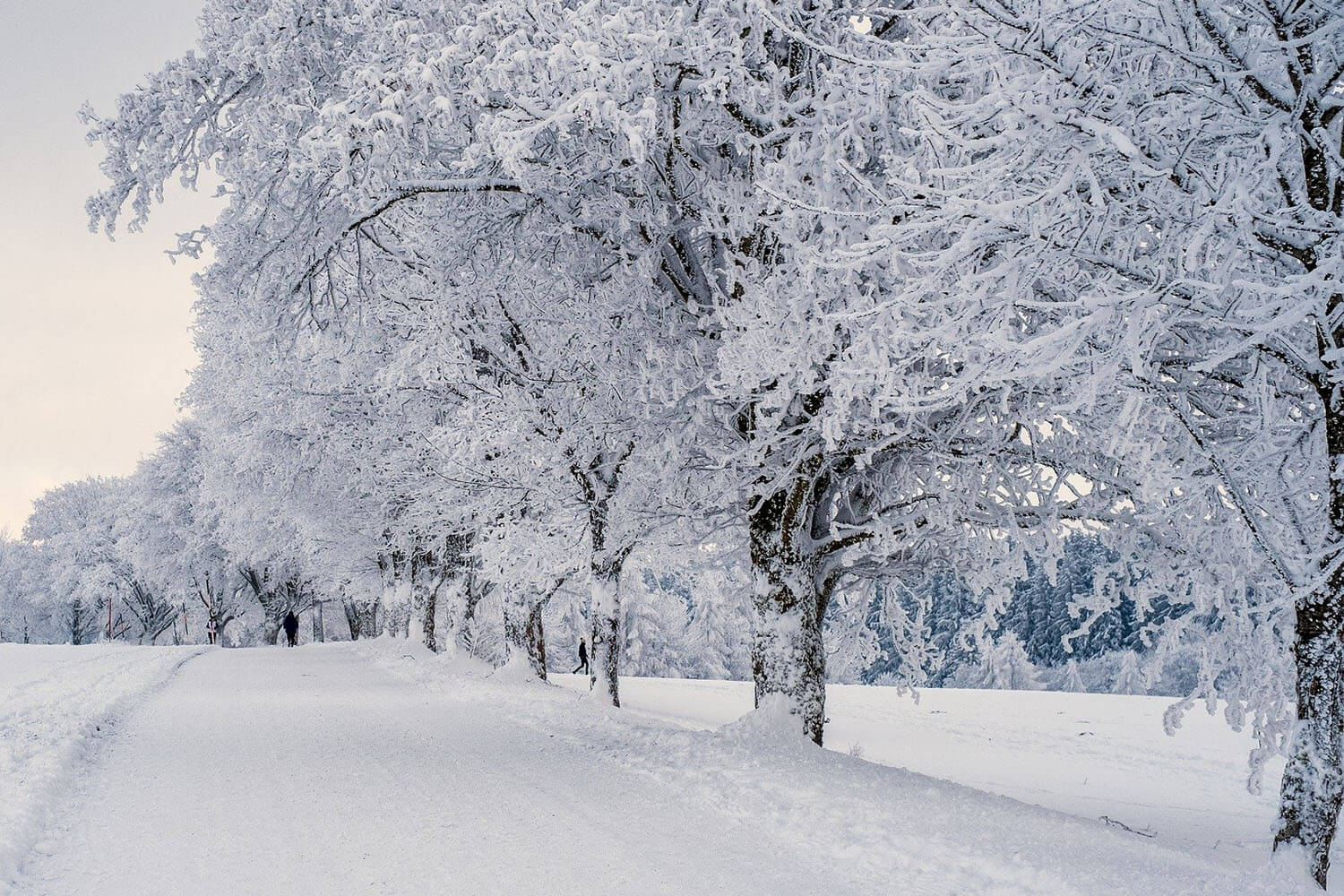 Weather update for customers | Salix Homes